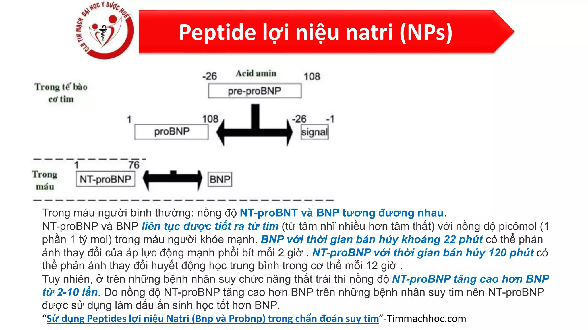 VAI TRÒ CỦA HỆ THẦN KINH VÀ THỂ DỊCH TRONG ĐIỀU HÒA HOẠT ĐỘNG TIM MẠCH.pptx