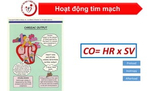 VAI TRÒ CỦA HỆ THẦN KINH VÀ THỂ DỊCH TRONG ĐIỀU HÒA HOẠT ĐỘNG TIM MẠCH.pptx
