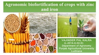 Agronomic biofortification of crops with zinc and iron by Vajinder Pal ...