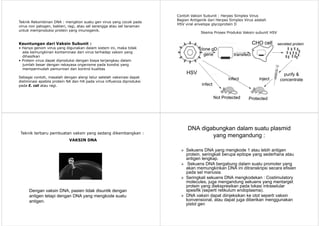 Vaksin | PDF