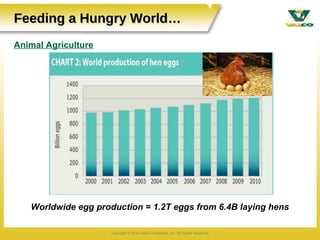 VAL-CO: Feeding a Hungry World | PPT