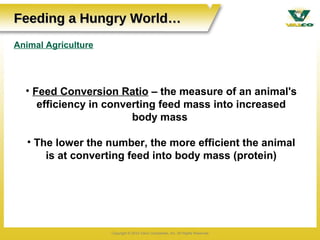 VAL-CO: Feeding a Hungry World | PPT
