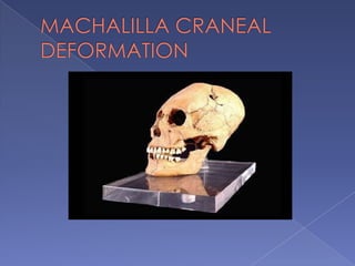 Valdivia machalilla y cerro narrio | PPT