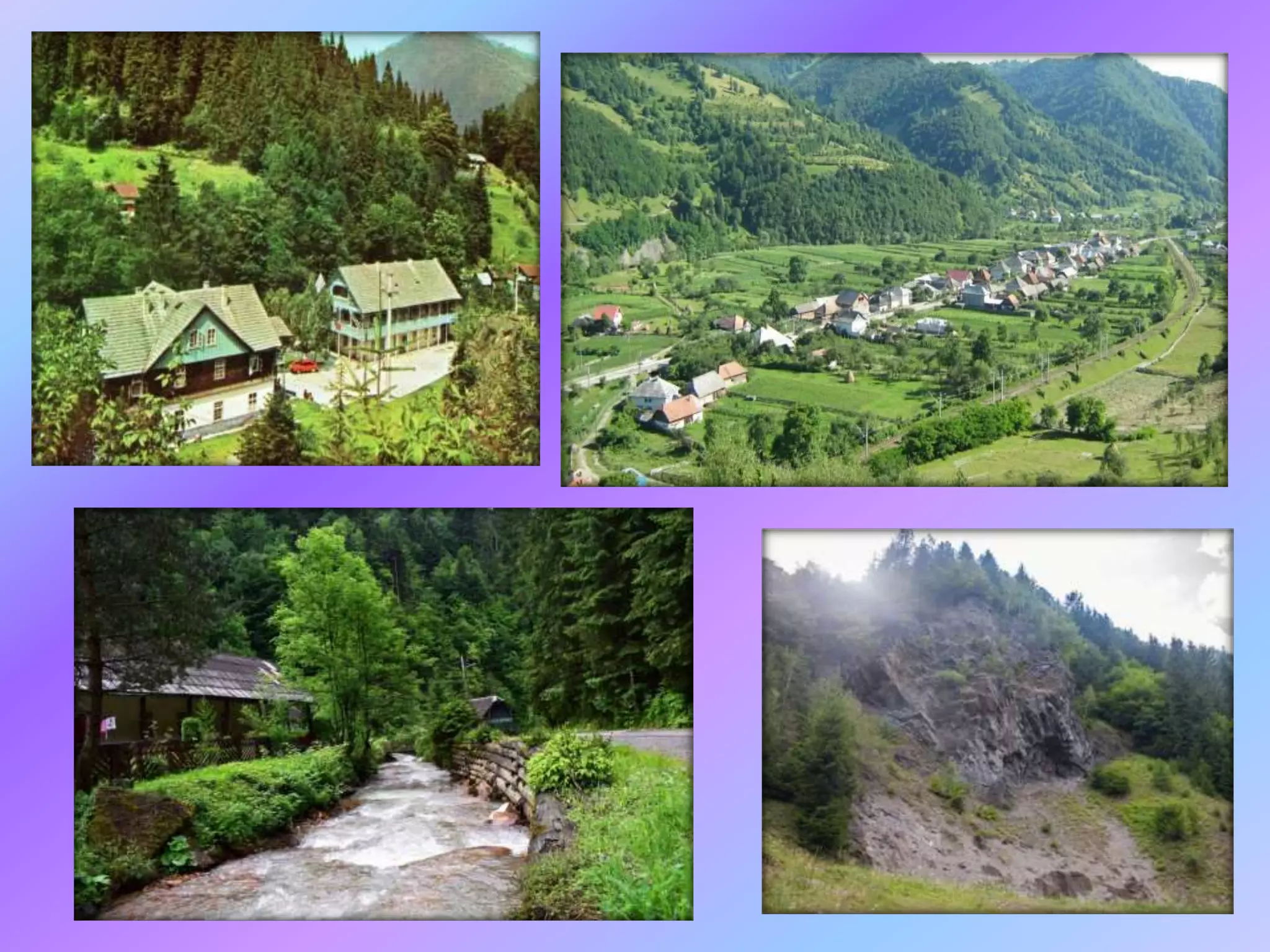 Valea vinului | PPTX