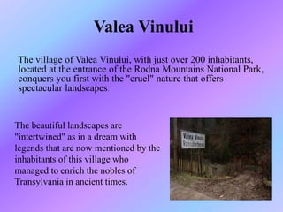 Valea vinului | PPTX