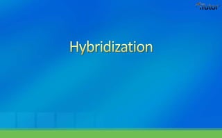 Valence Bond theory & Hybridization | PPTX