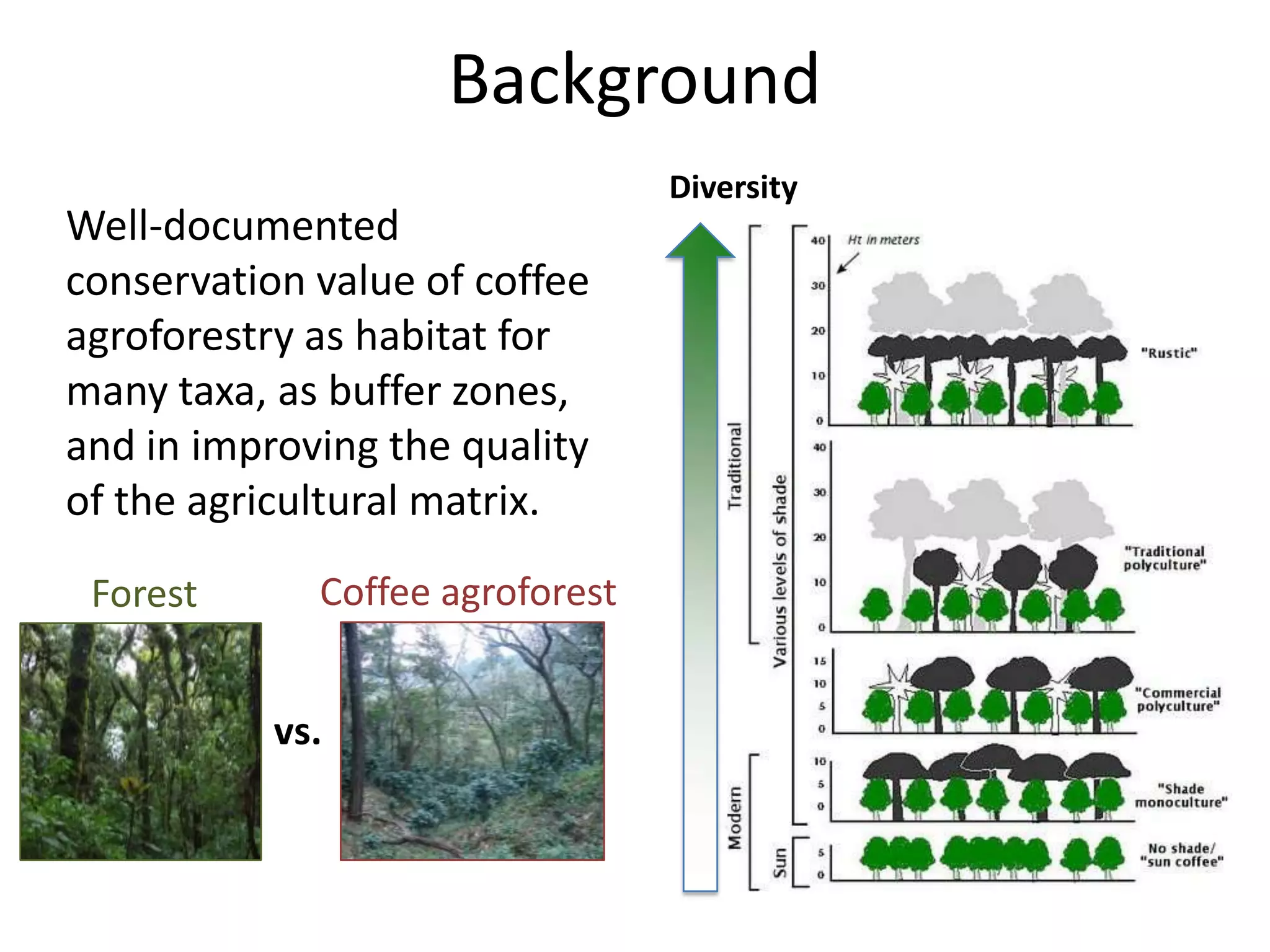 The Role of Coffee Agroforestry in the conservation of forest tree ...