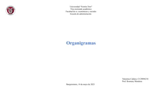 Organigramas en el ambito empresarial.pptx