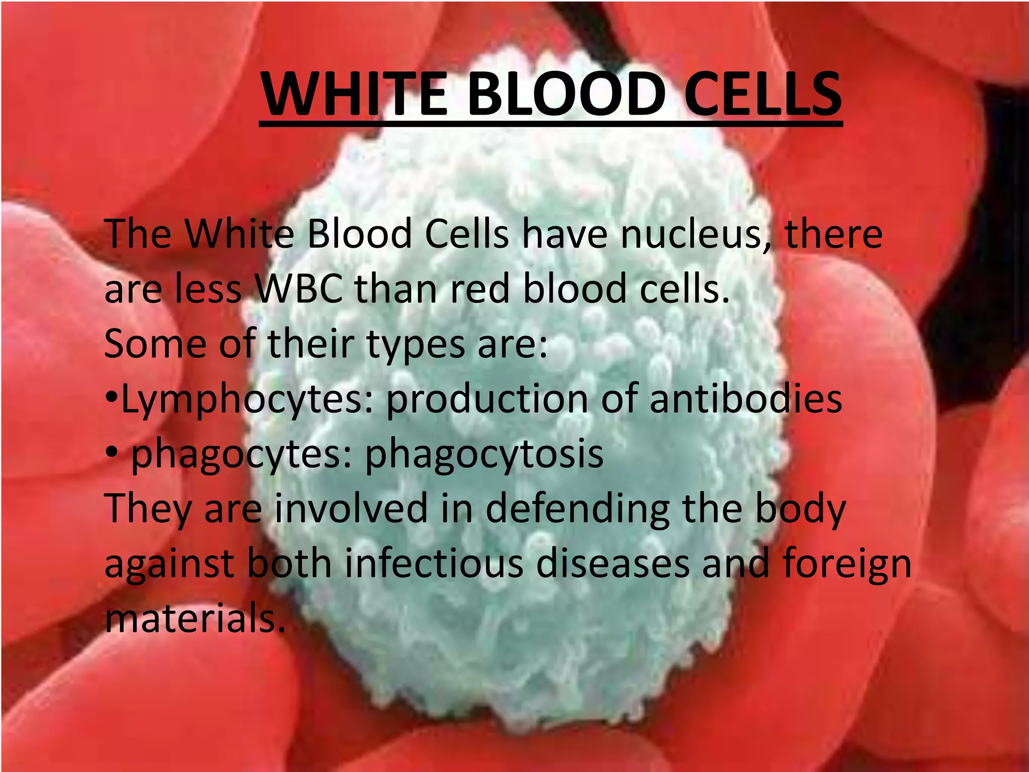Blood | PPT