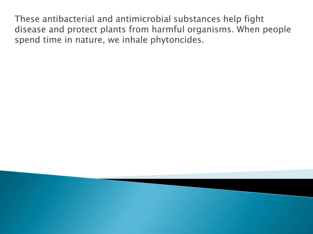 Phytoncides May Be Key to the Health Benefits of Nature | PPT