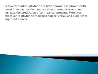 Phytoncides May Be Key to the Health Benefits of Nature | PPT