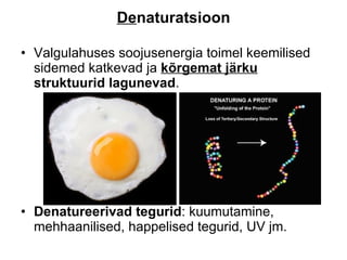 Valgud | PPT