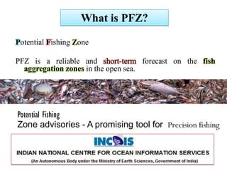 Validation of potential fishing zone (pfz) using satellite data phd credit seminar jitendra i | PDF