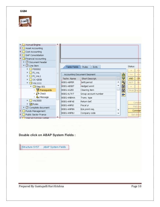 SAP Validation and substitution | PDF