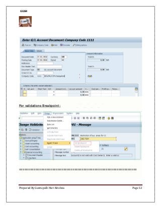 SAP Validation and substitution | PDF