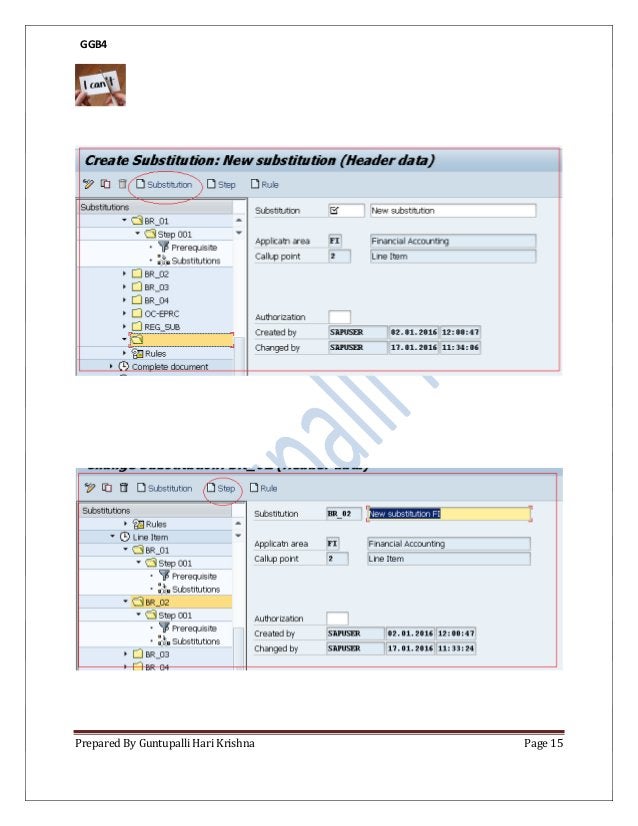 SAP Validation and substitution | PDF