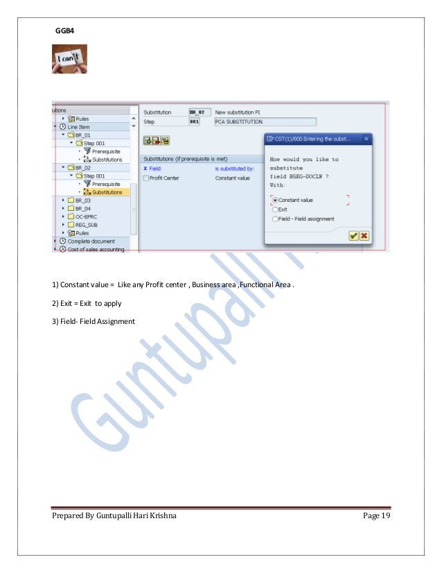SAP Validation and substitution | PDF