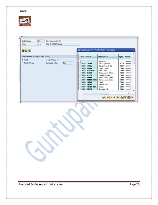 Sap Validation And Substitution Pdf