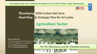 Developing 2050 Carbon Net Zero Road Map & Strategic Plan for Sri Lanka ...