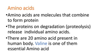 valine. pptx.pptx