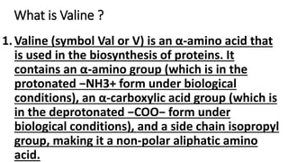 valine. pptx.pptx