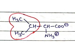 Valine | PDF