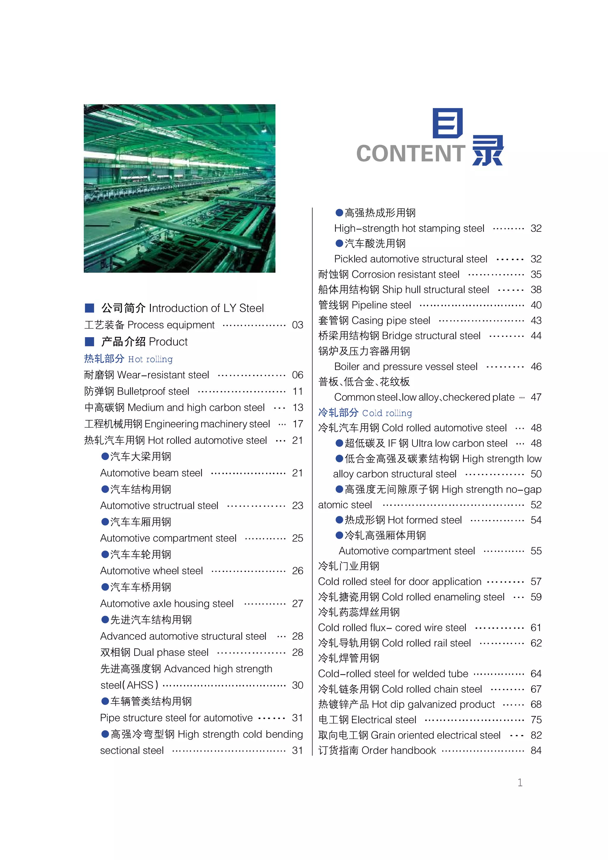 Valin LY Steel CAT 1 (2021).pdf