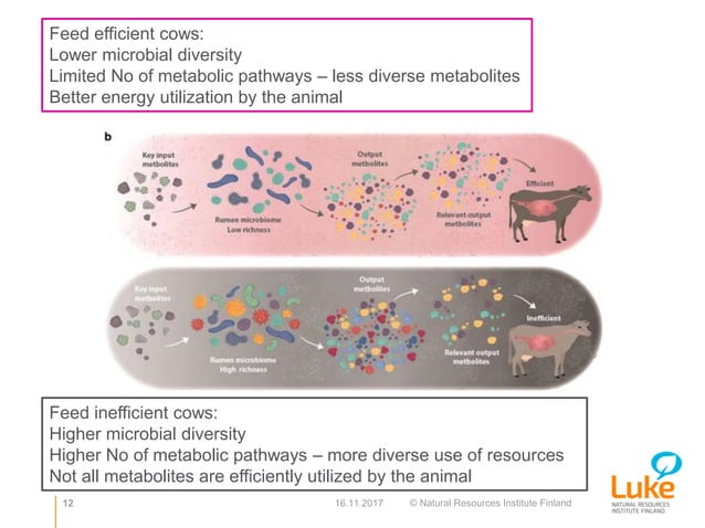 Ilma Tapio, LukeFunctional role of rumen microbiome linked to methane production in dairy cows | PPT