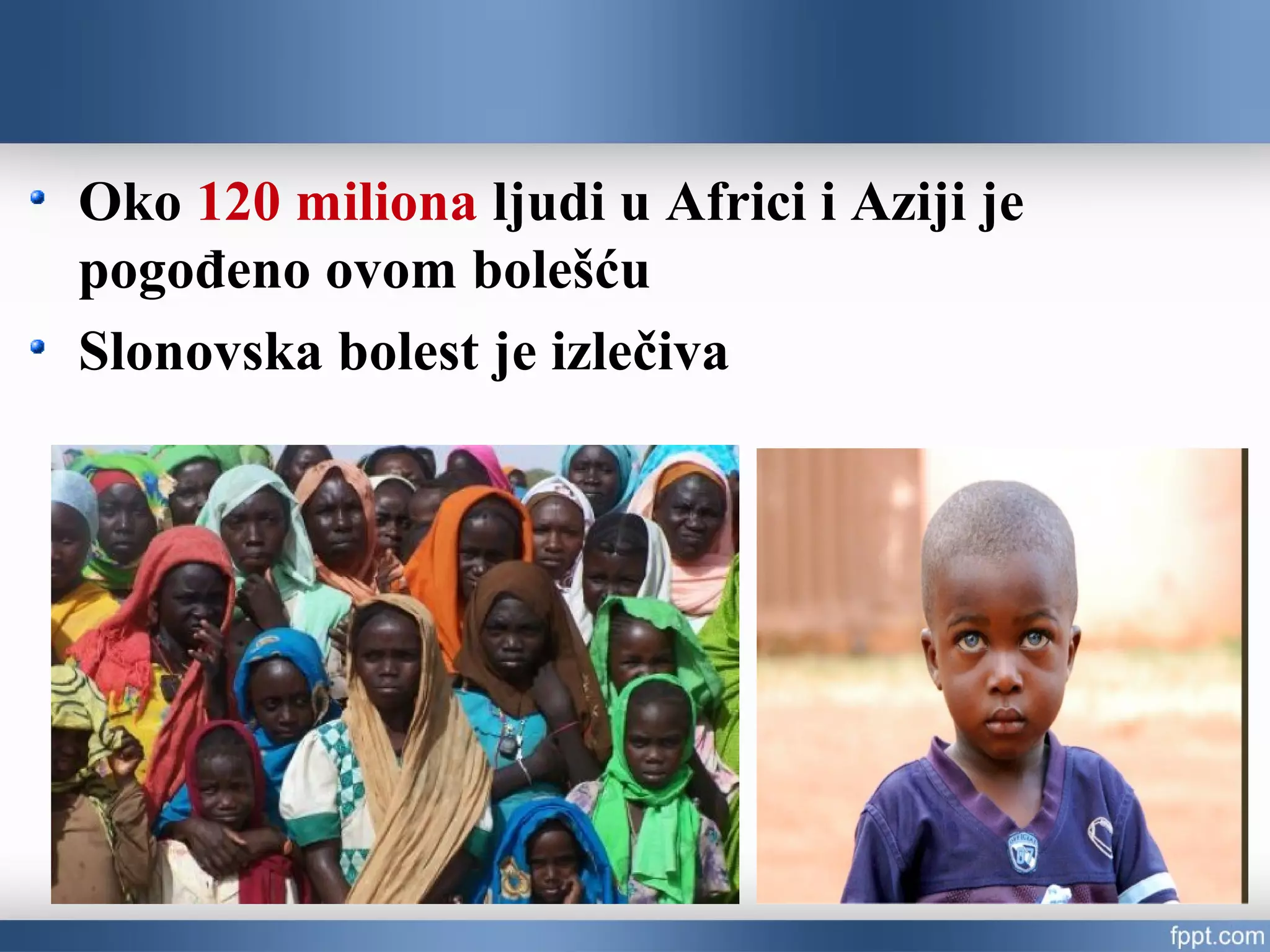 Valjkasti crvi | PPT