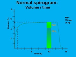 Valkuilen | PPT | Lung and Respiratory Health | Diseases and Conditions