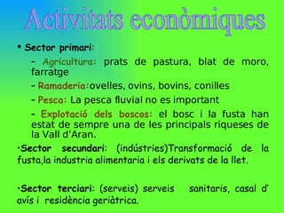 La comarca de la Vall d'Aran | PPT