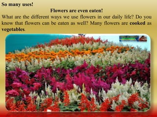 THE VALLEY OF FLOWERS ENVIRONMENTAL STUDIES CLASS-IV | PPTX