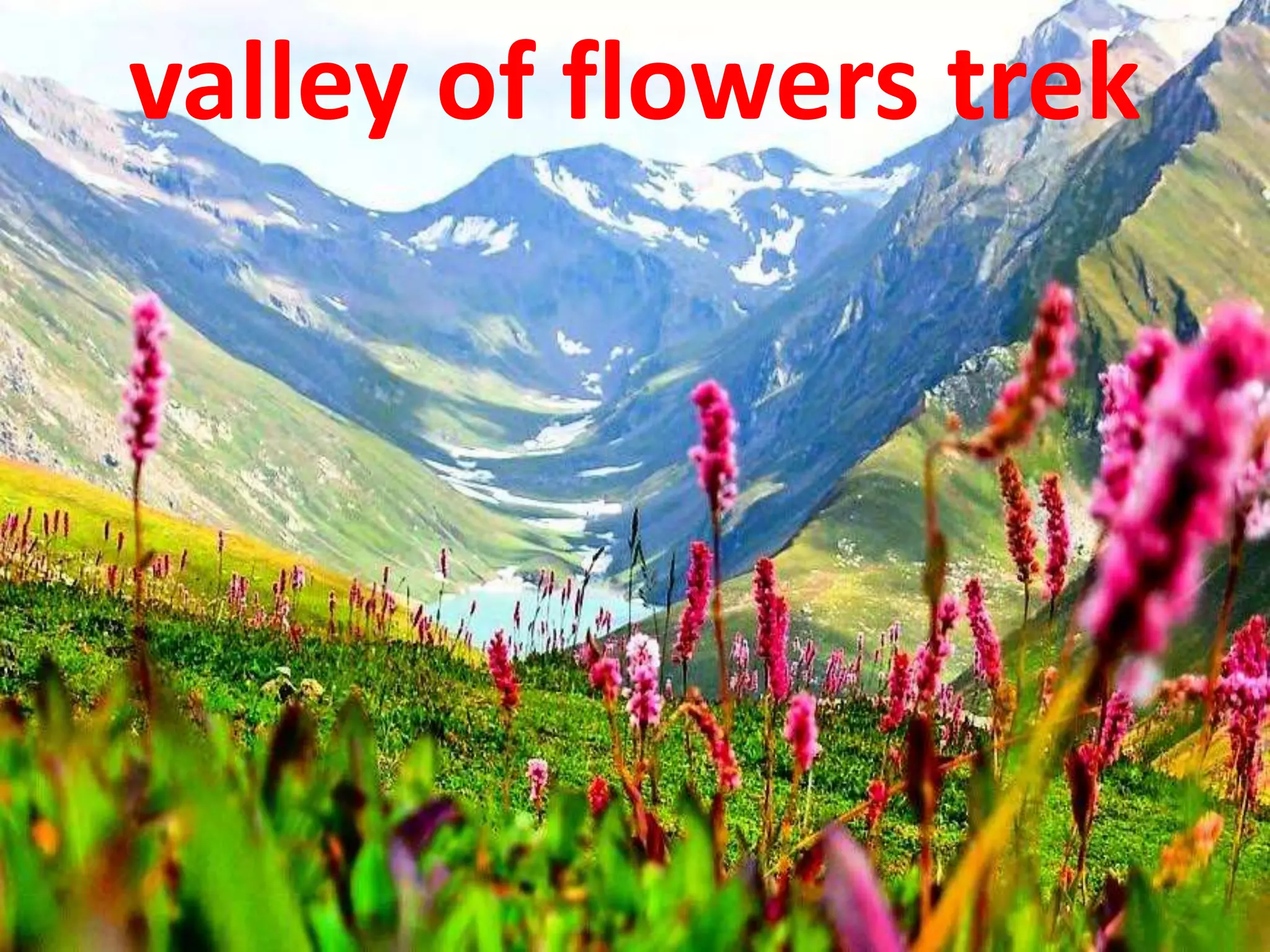 Valley of flowers trek | PPTX