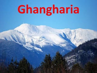 Valley of flowers trek | PPTX