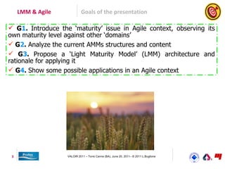 Light Maturity Models (LMM): An Agile Application | PDF