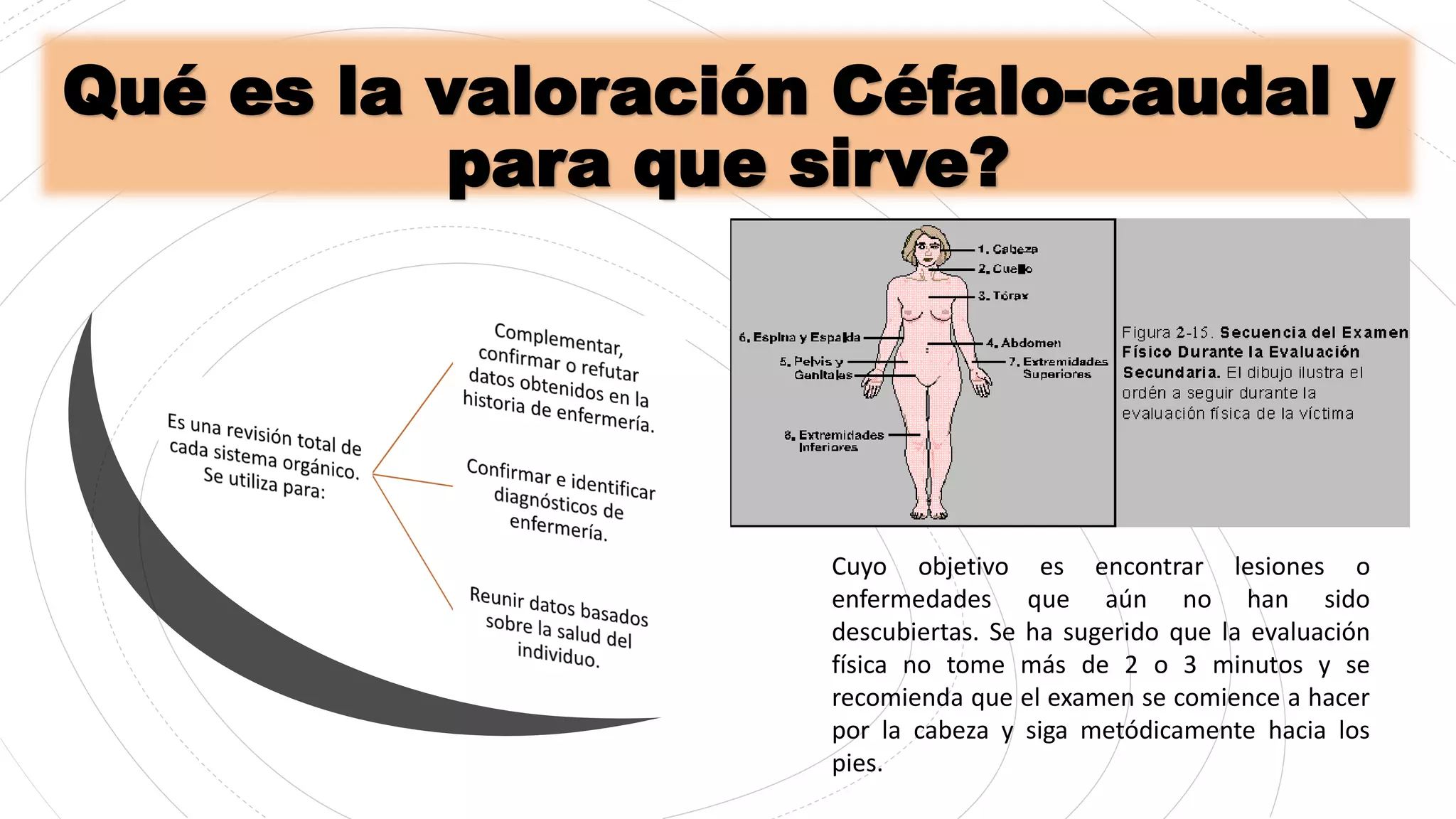 Valoración céfalo-caudal del paciente.pdf