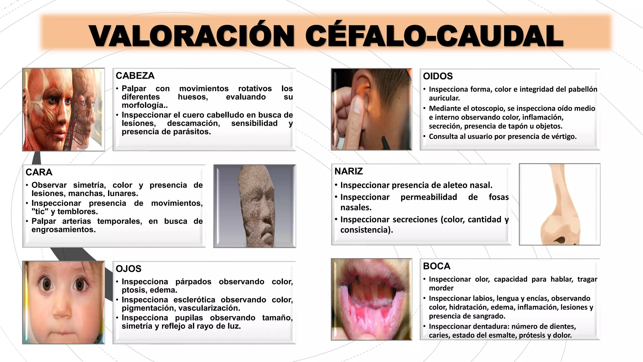 Valoración céfalo-caudal del paciente.pdf