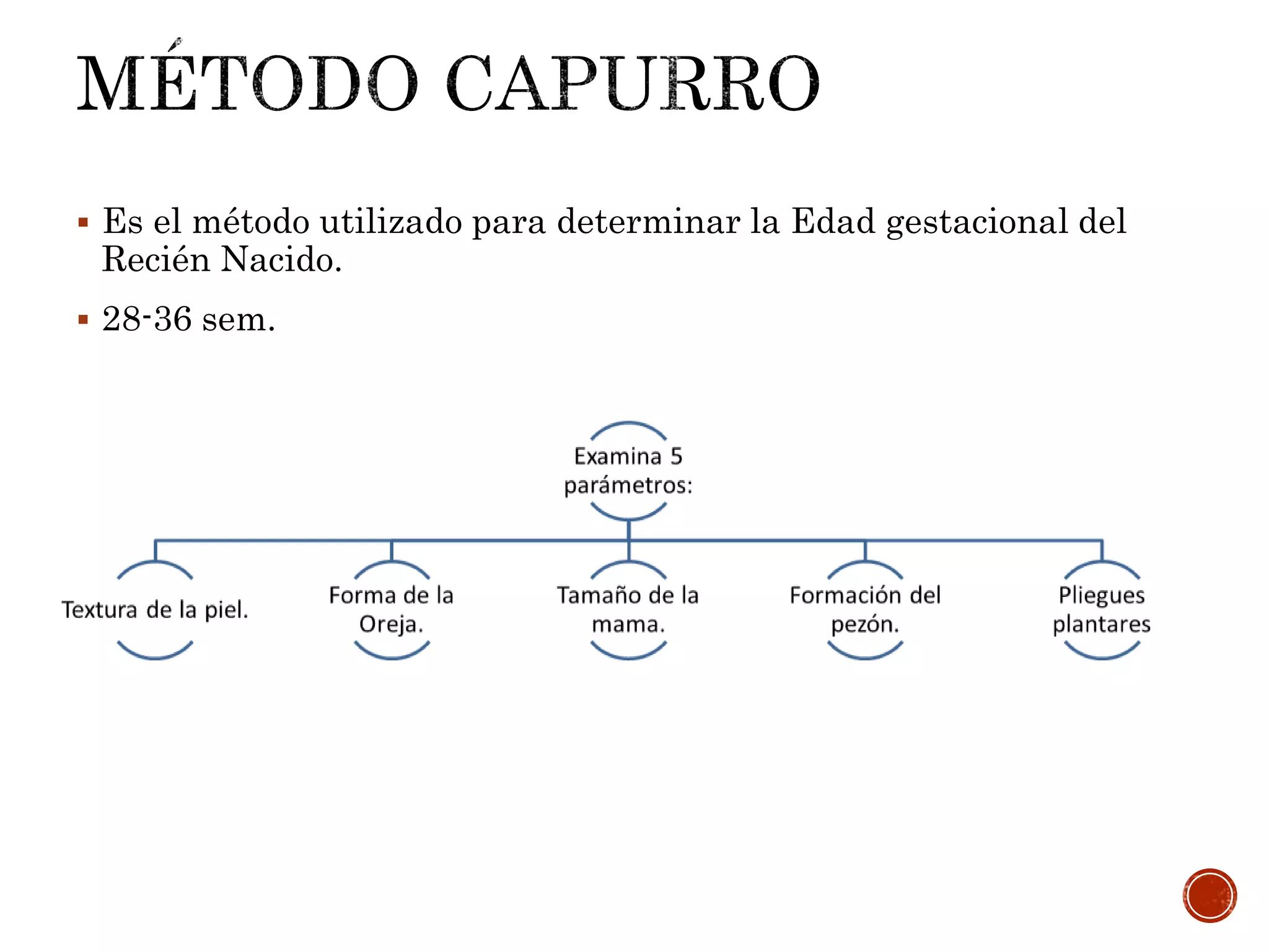 Valoración de Capurro | PPTX