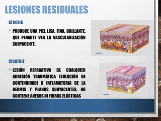 Valoración de la piel | PPTX
