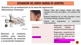 valoración de los nervios craneales, Pediatría II.ppt