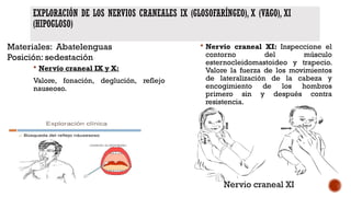 valoración de los nervios craneales, Pediatría II.ppt