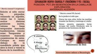valoración de los nervios craneales, Pediatría II.ppt