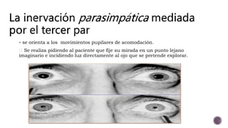 Valoración de los pares craneales taller.pptx