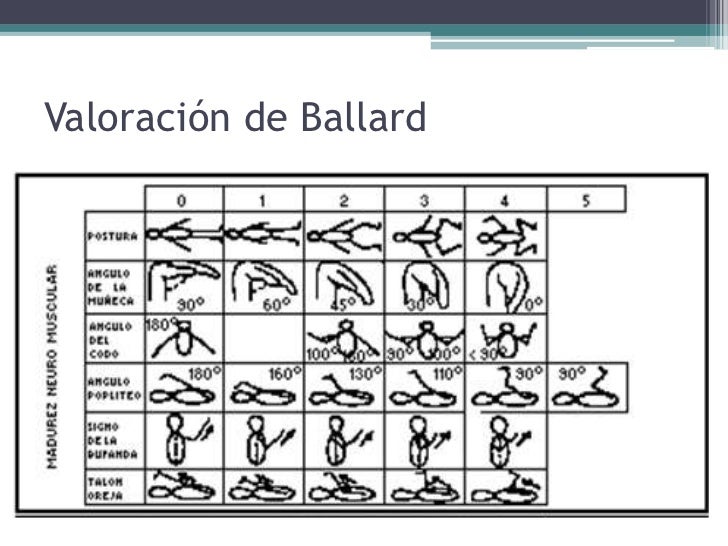 ValoracióN Del ReciéN Nacido