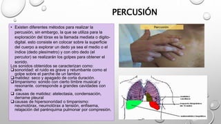 Valoracion del torax | PPTX