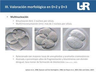 Valoración morfológica embrionaria hasta blastocisto | PDF