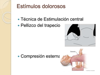 Valoracion neurologica (wecompress.com) | PPTX