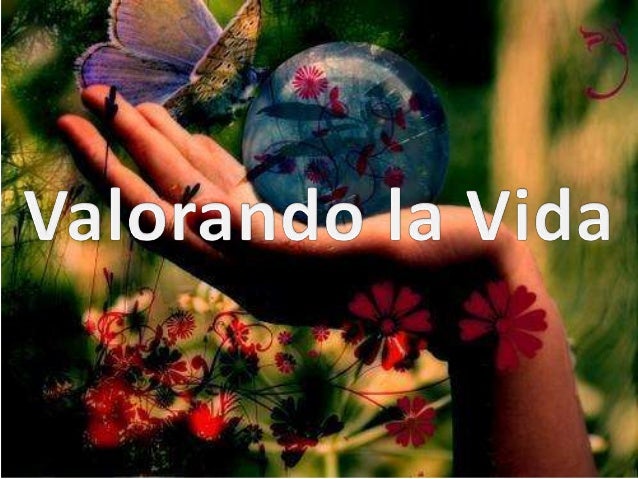 Valorando la vida