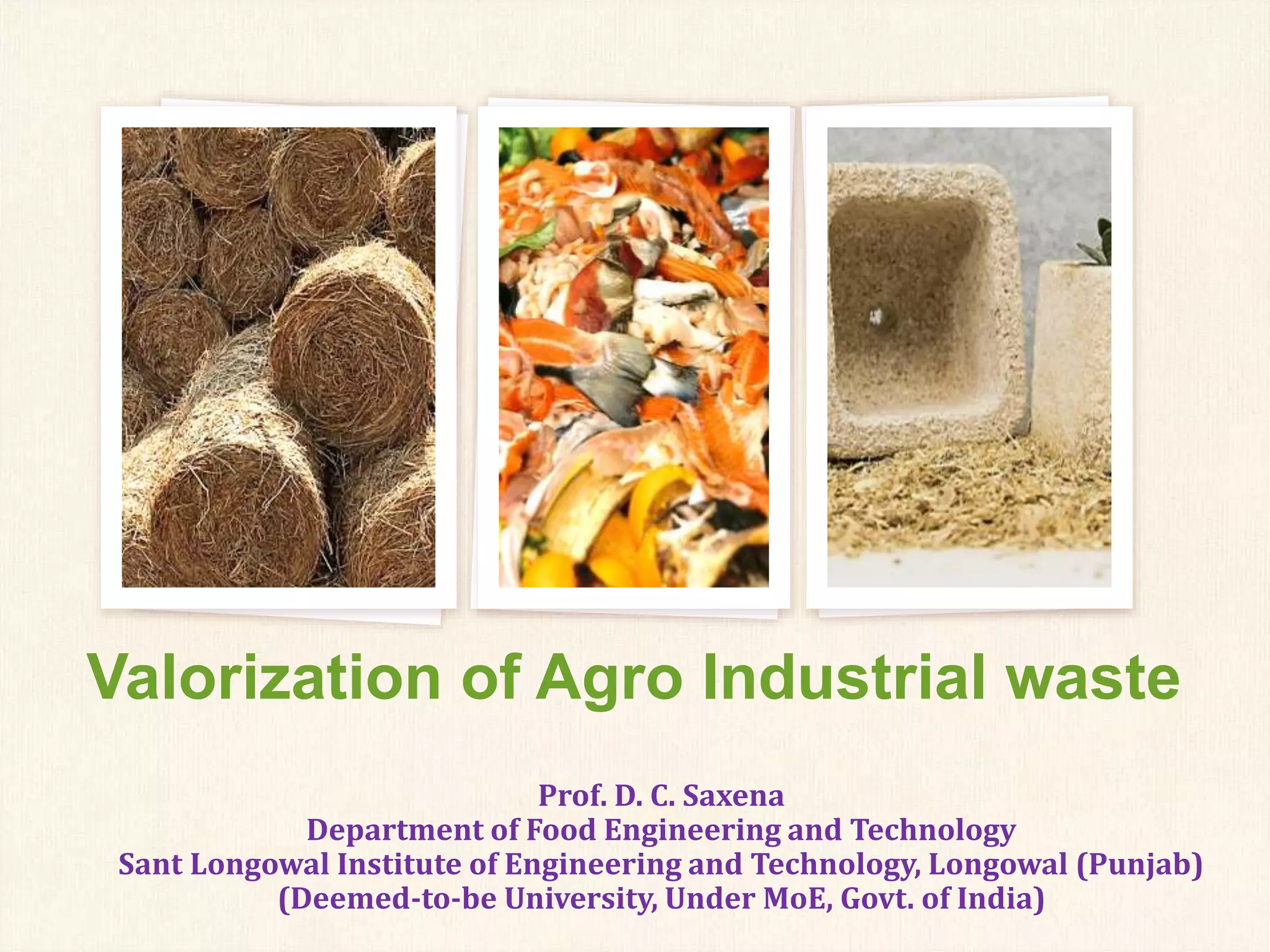 Valorization of Agro-Industrial Waste.pptx