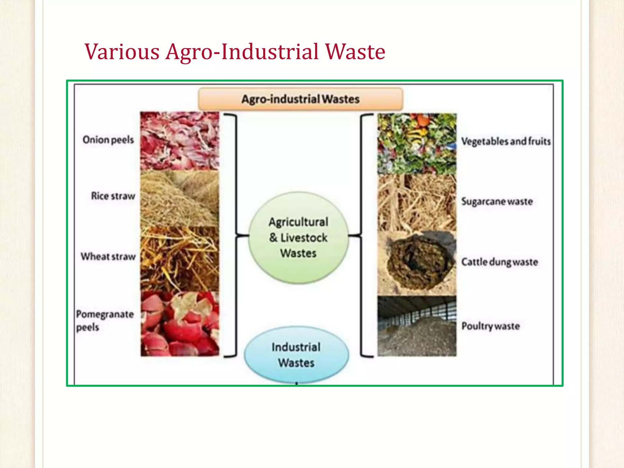 Valorization of Agro-Industrial Waste.pptx